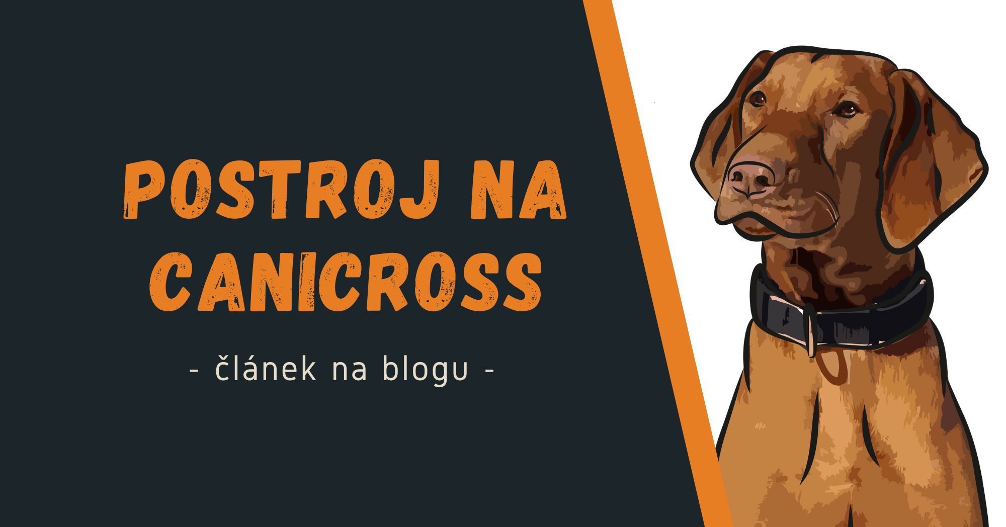 Vybavení na canicross - postroj na canicross | hladovypes.com