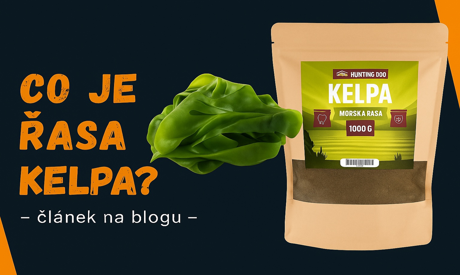 Řasa Kelpa